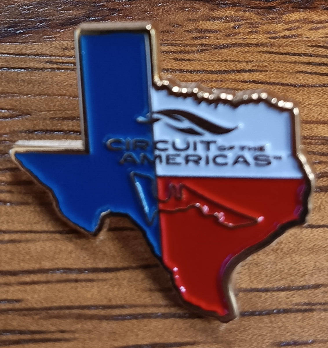 COTA Texas State Pin – COTA Store